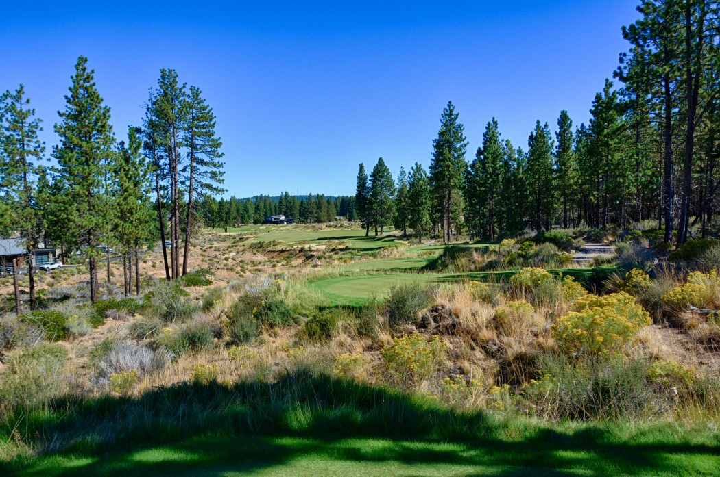 Why Tetherow is the Most Polarizing (And Fun) Course in Oregon