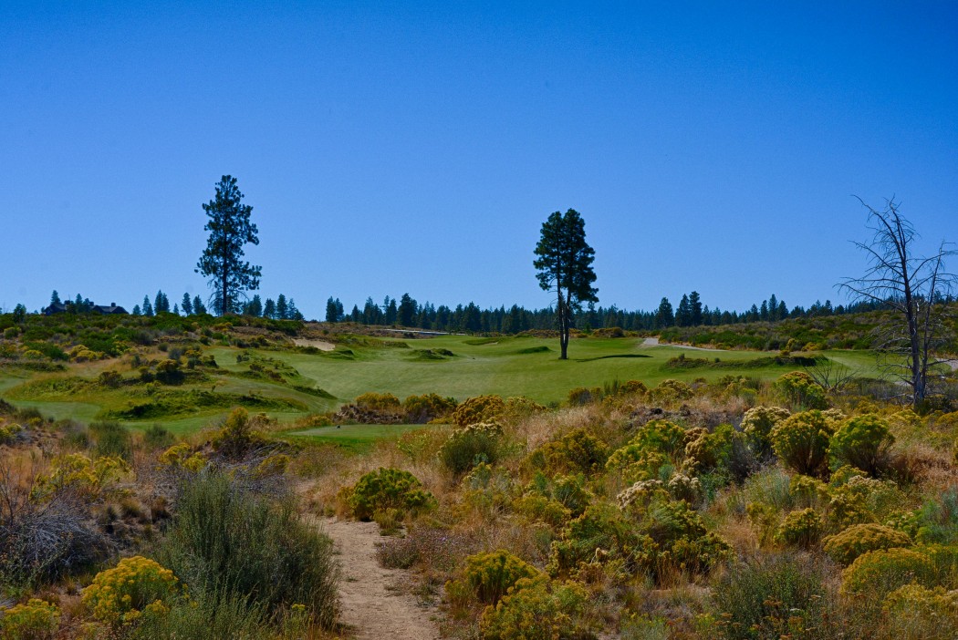 Why Tetherow is the Most Polarizing (And Fun) Course in Oregon