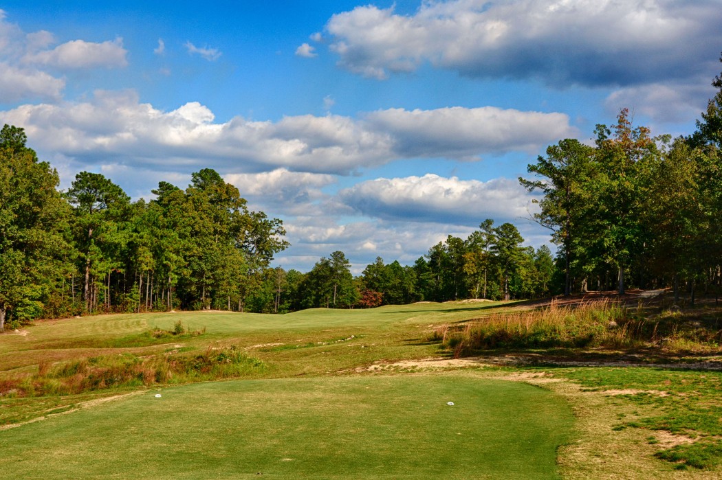 The Dormie Club Review