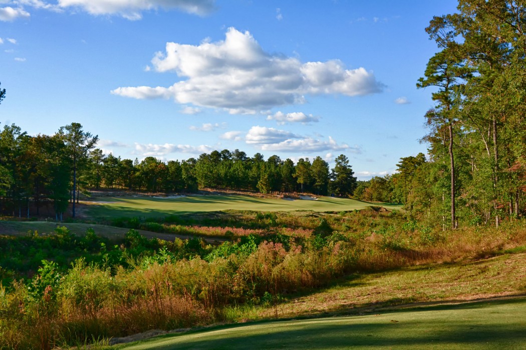 The Dormie Club Review