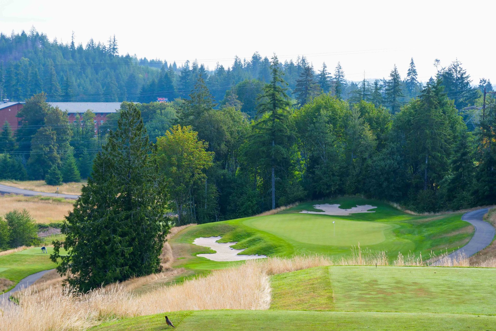 Salish Cliffs Golf Club Review: One of Washington's Best Public Courses