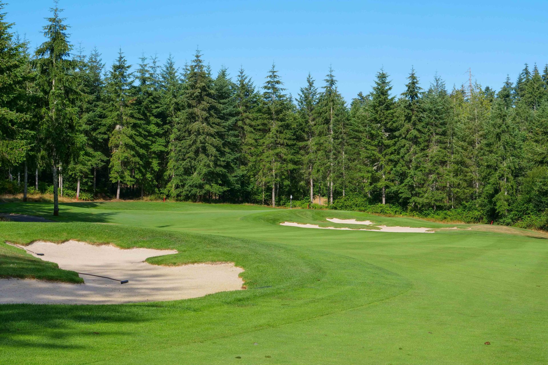 Salish Cliffs Golf Club Review: One of Washington's Best Public Courses