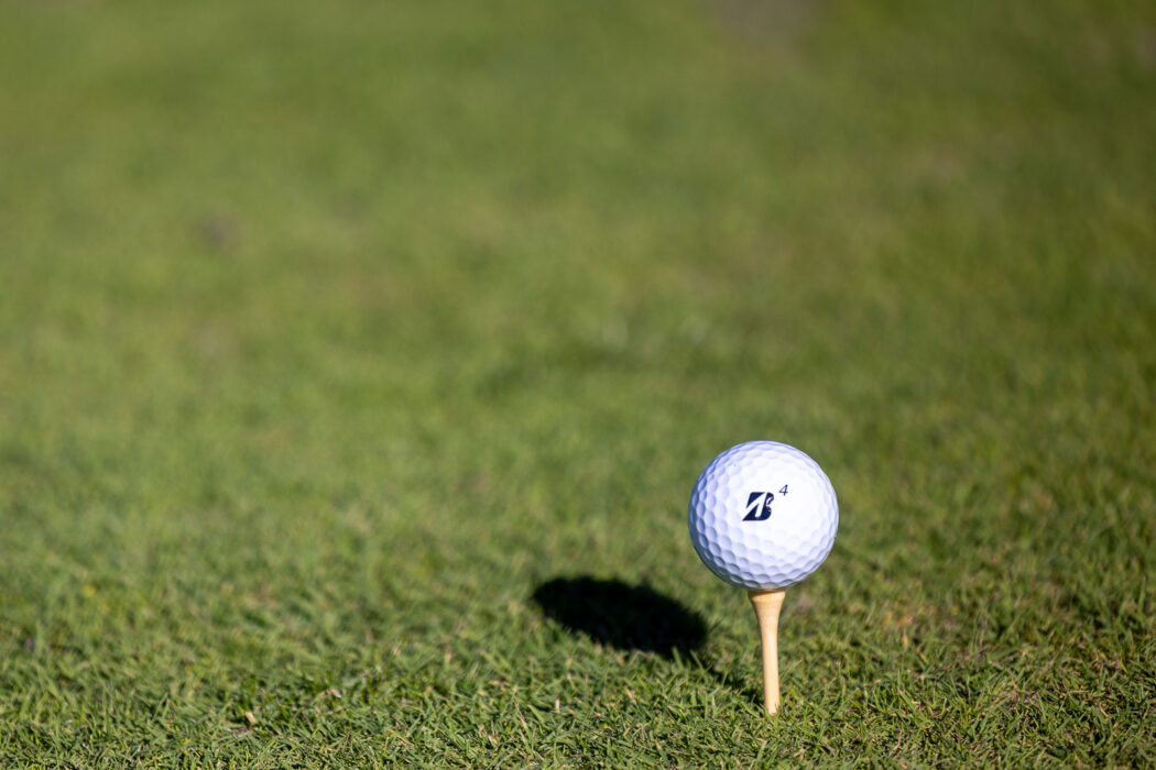 Bridgestone e6 Review: My Favorite Golf Ball Under $30?