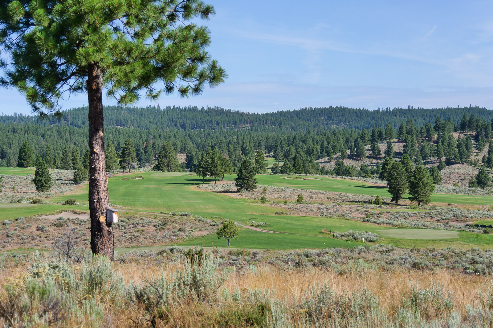 Silvies Valley Ranch Review: One of the Most Unique Resorts in Golf