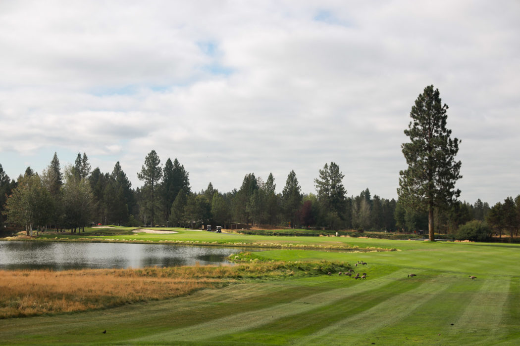 Sunriver Resort Golf: The Ultimate Northwest Destination