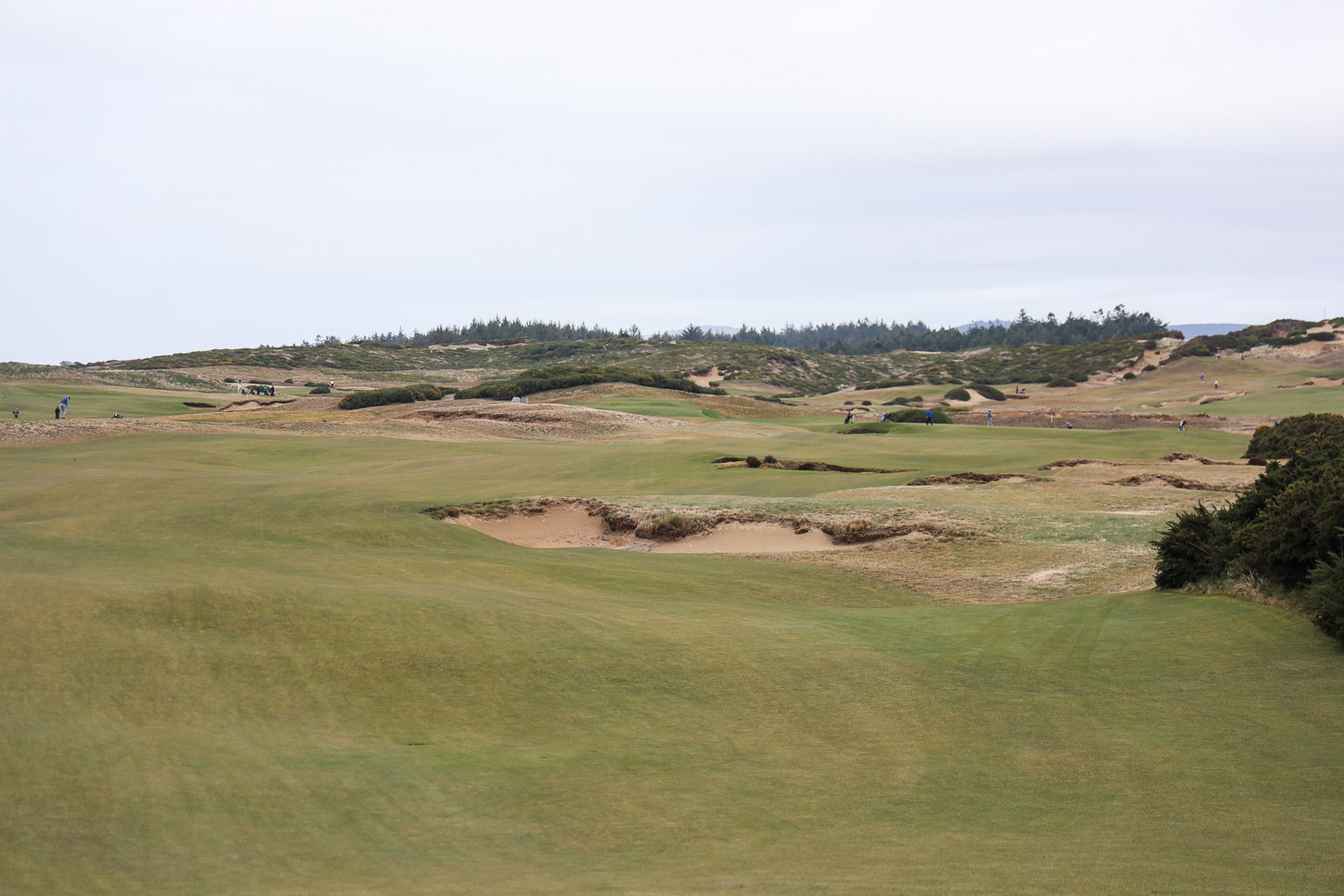 Old Macdonald: The Most Misunderstood Course at Bandon Dunes