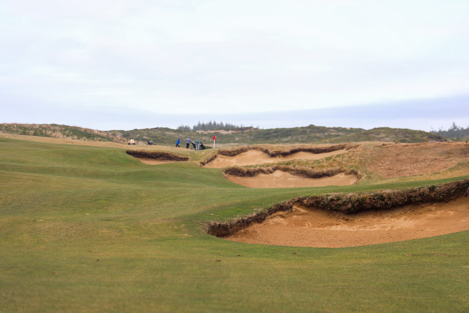 Old Macdonald: The Most Misunderstood Course at Bandon Dunes