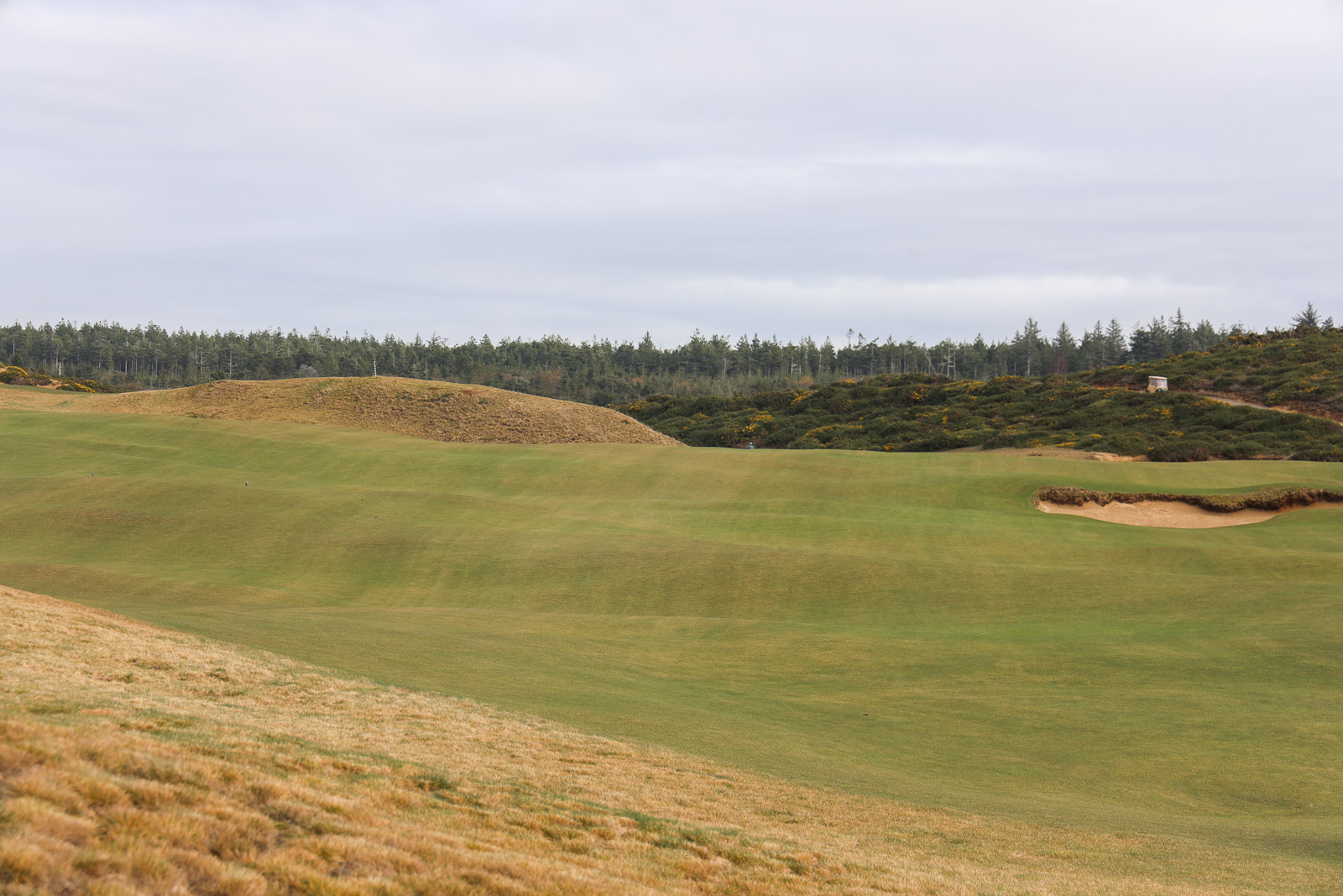 Old Macdonald: The Most Misunderstood Course at Bandon Dunes