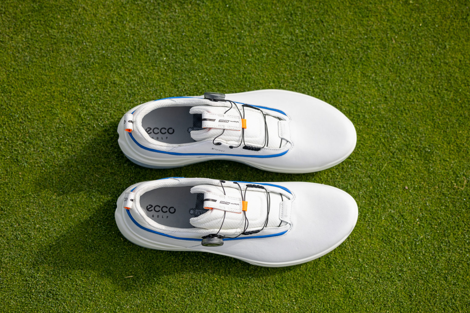 Ecco Biom G5 Review: Is it Worth Buying a Spiked Ecco Shoe?