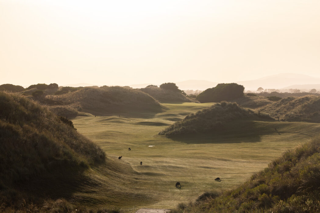 Why Barnbougle Dunes is Worth Flying Across the World For