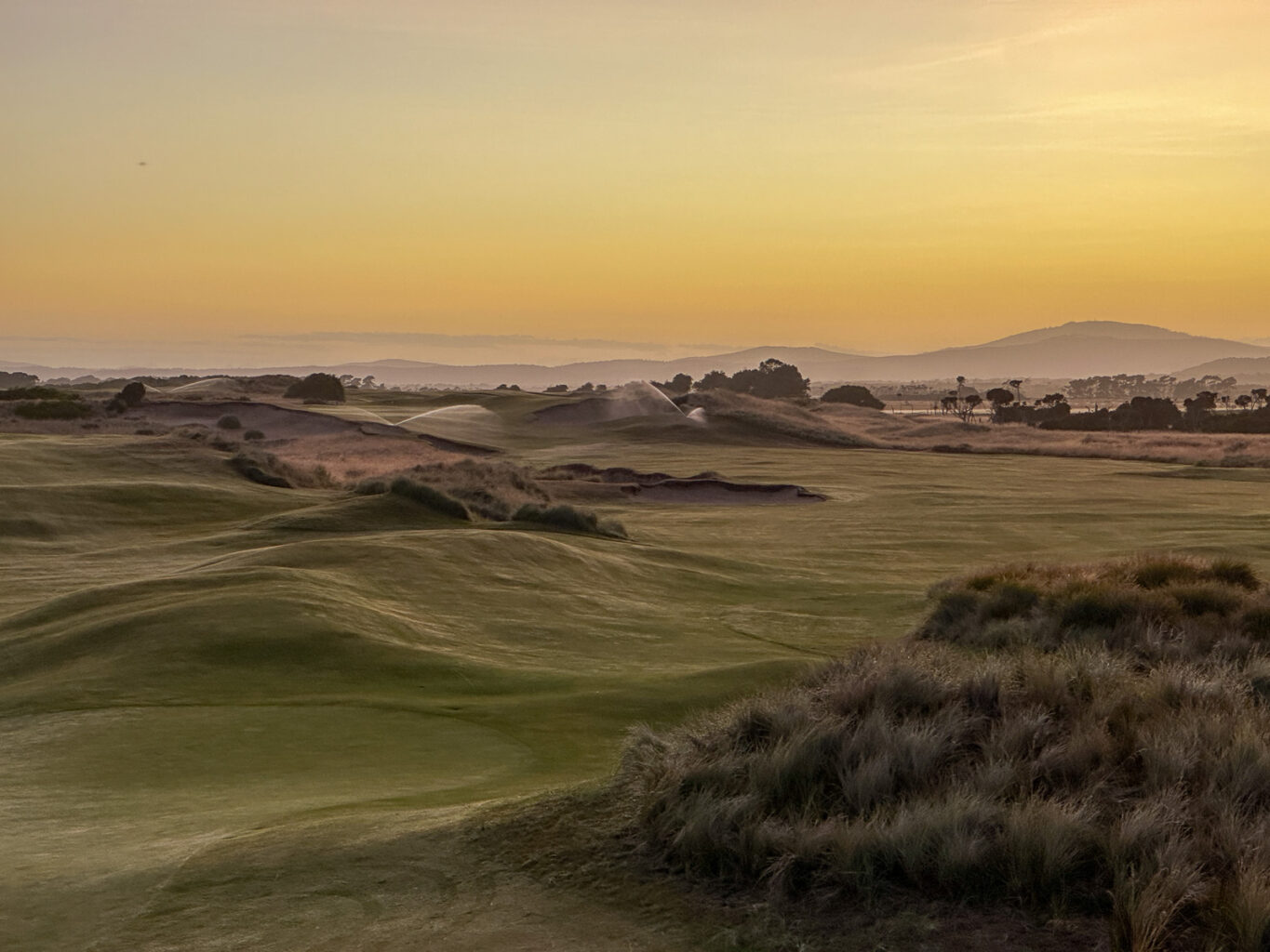 Why Barnbougle Dunes is Worth Flying Across the World For