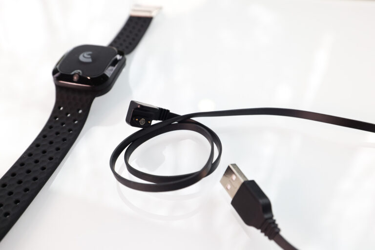 deWiz Golf Review: A Shockingly Good Golf Training Aid