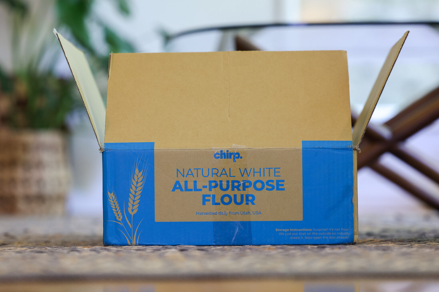 Chirp Back Roller Review: Better than Foam Roller for Back Pain?