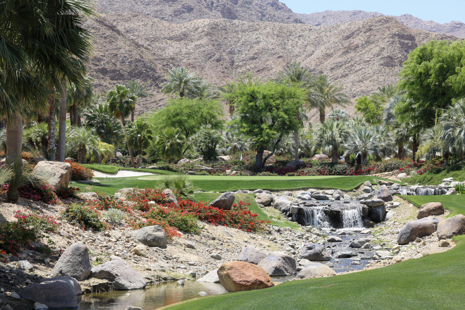 I Wasn't Prepared for Just How Special Sensei Porcupine Creek Would Be.