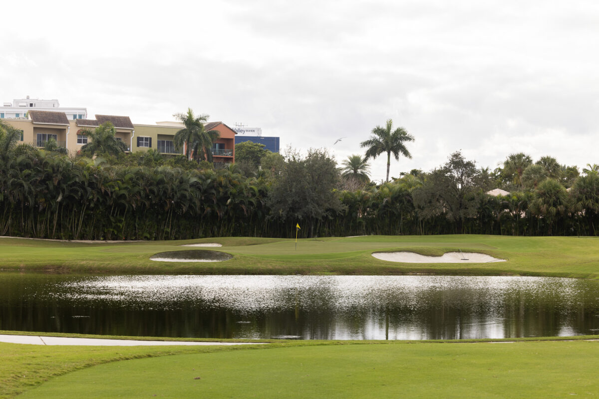 Dutchman's Pipe Club Lives up to (High) Expectations