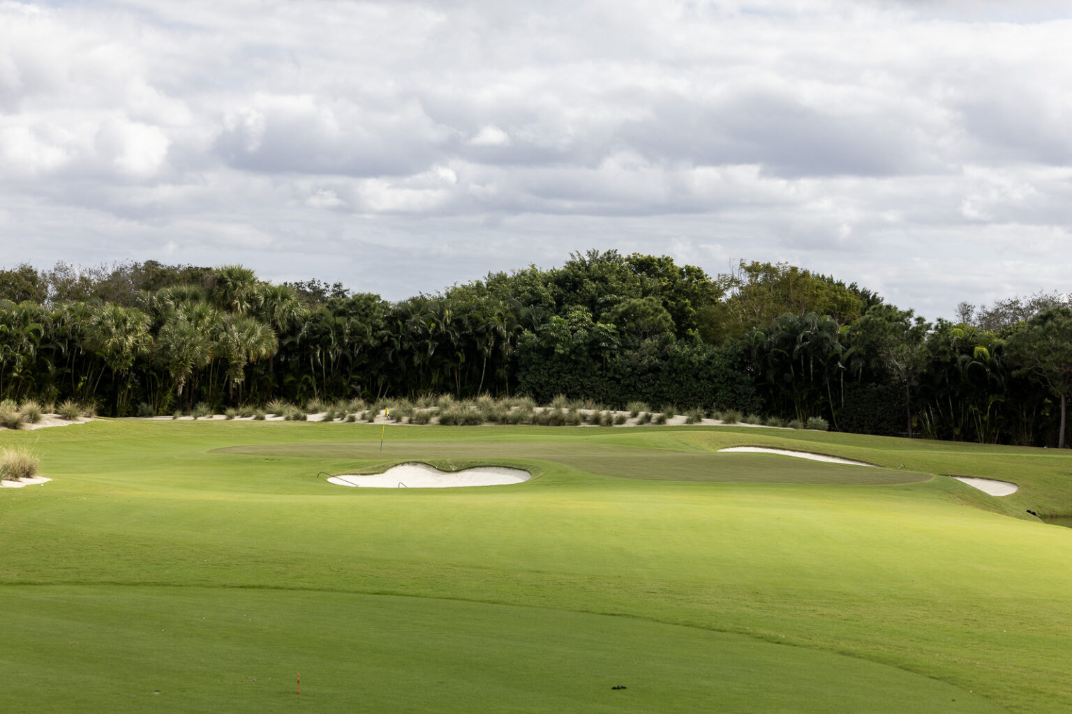 Dutchman's Pipe Club Lives up to (High) Expectations