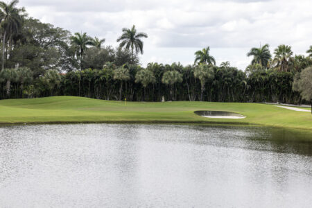 Dutchman's Pipe Club Lives up to (High) Expectations