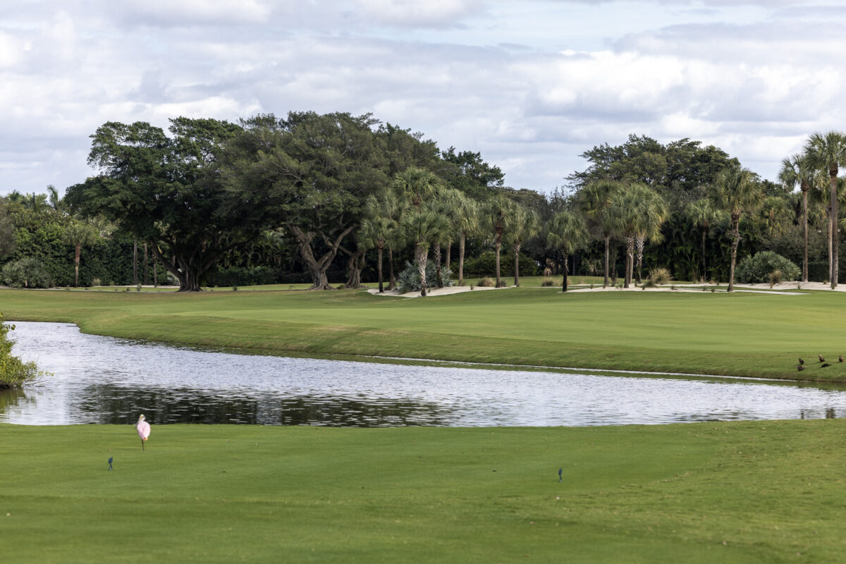 Dutchman's Pipe Club Lives up to (High) Expectations