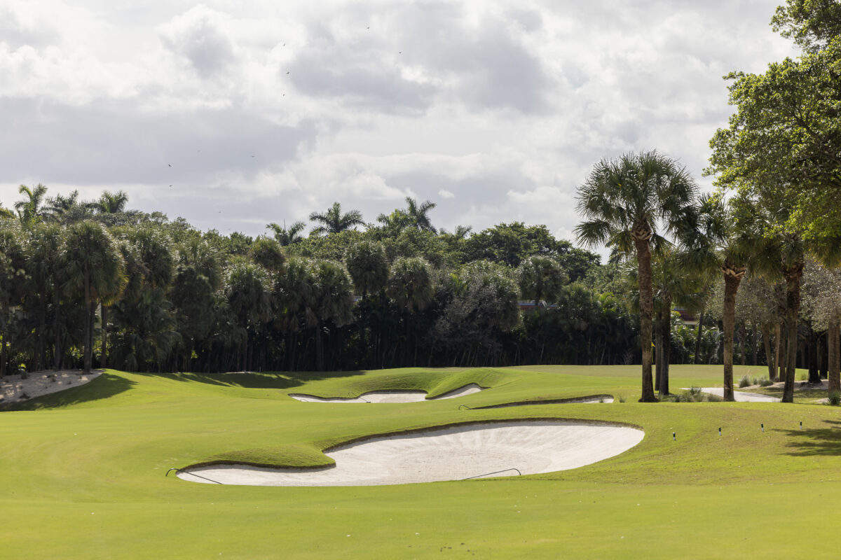 Dutchman's Pipe Club Lives up to (High) Expectations
