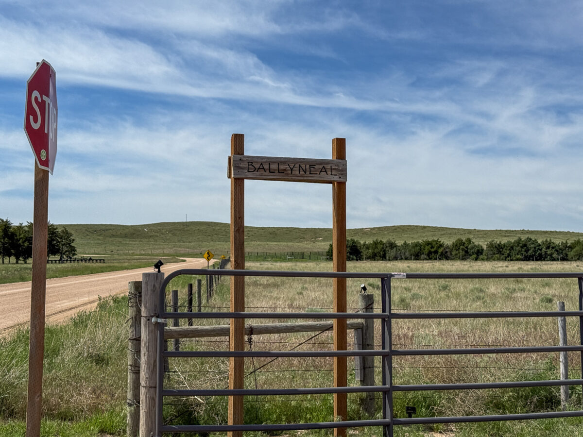 Why Ballyneal is One of the Best Destination Golf Clubs in the World